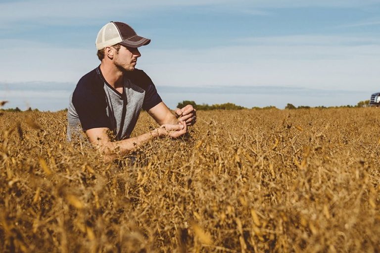 Heat LQ cleared for pre-harvest use in wheat, barley - AgCanada