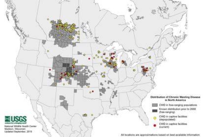 Deer heads required from Kootenay region for CWD tests - AGCanada ...