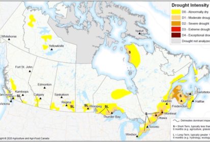 Most of Prairies to see little rain - AGCanada - AGCanada