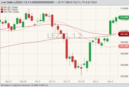 U.S. livestock: Live cattle futures gain on boxed beef strength ...