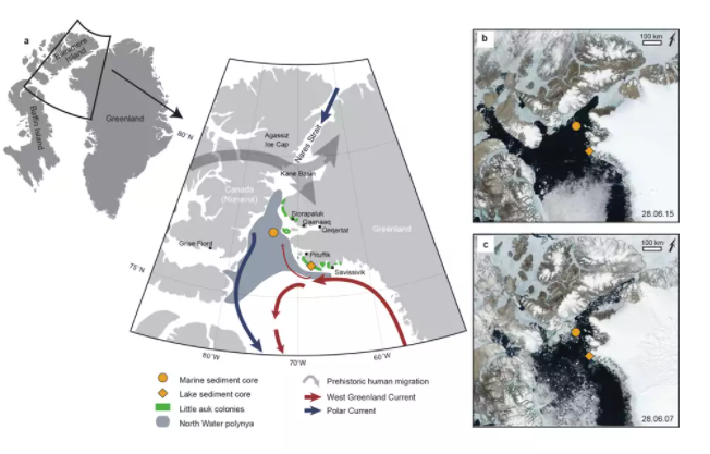 Sea ice ecosystem threatened by climate change - AGCanada - AGCanada