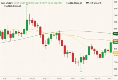 U.S. grains: Corn futures up on firm cash markets - AGCanada - AGCanada