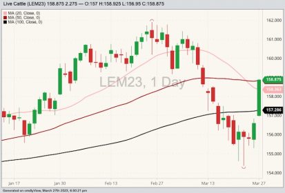 U.S. livestock: CME live cattle exceed two-week highs in rebound ...