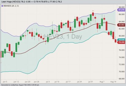 U.S. livestock: Technical selling extends setback in CME lean hogs ...