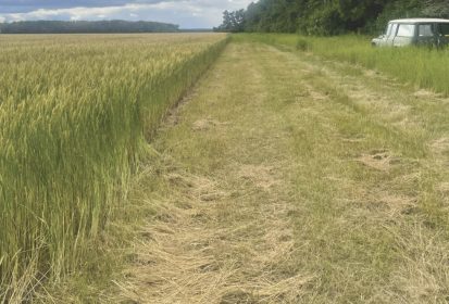 Are buffer strips right for your farm? - AGCanada - AGCanada