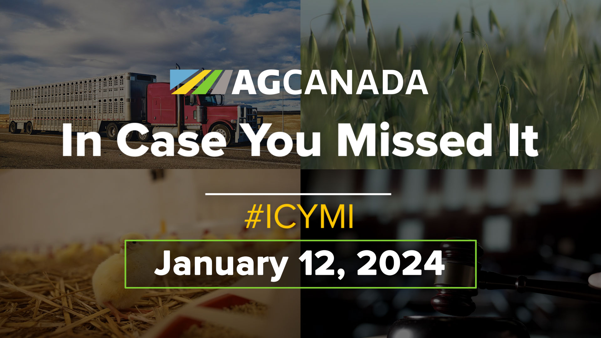 AGCanadaTV: In Case You Missed It – Your National Ag News Recap for Jan. 12, 2024 - AgCanada