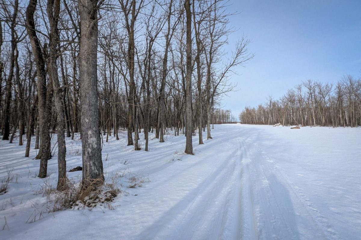Prairie forecast: Weekend low to bring snow to swaths of the Prairies ...