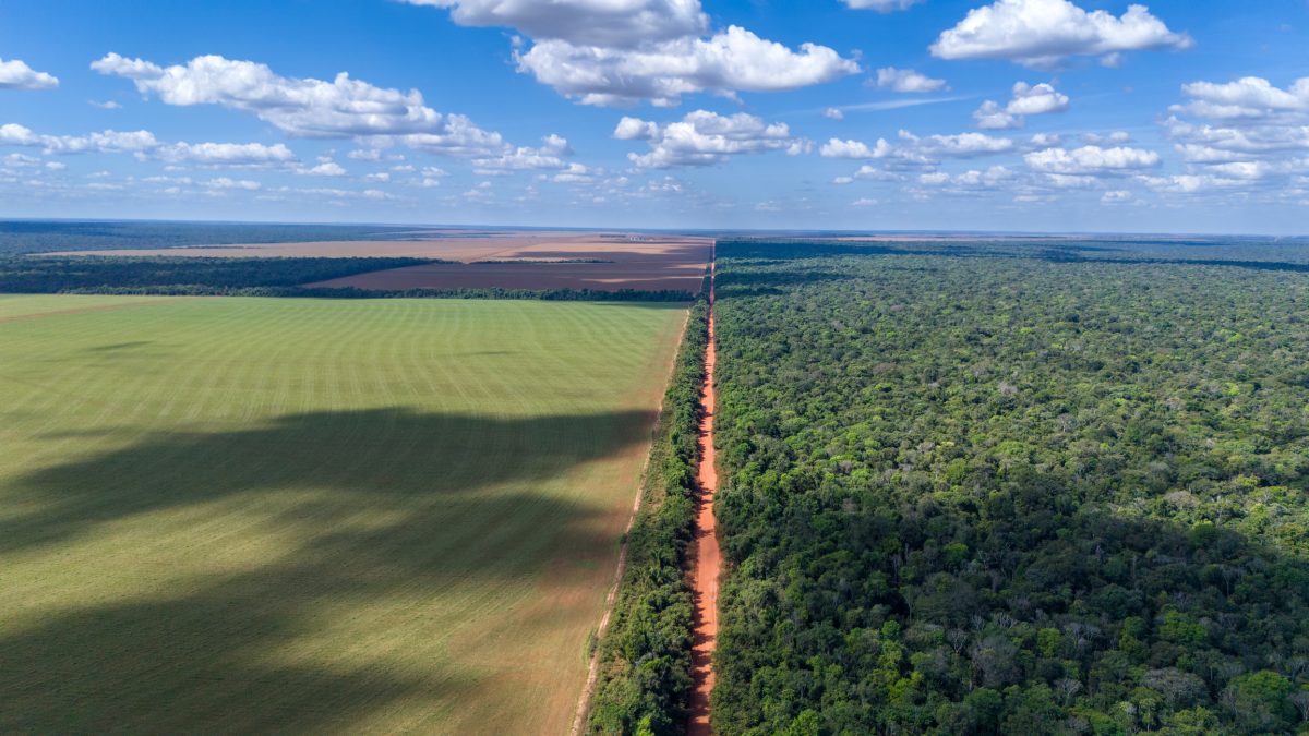 Soy trading firms to abandon Amazon protection pact in Brazil - AgCanada