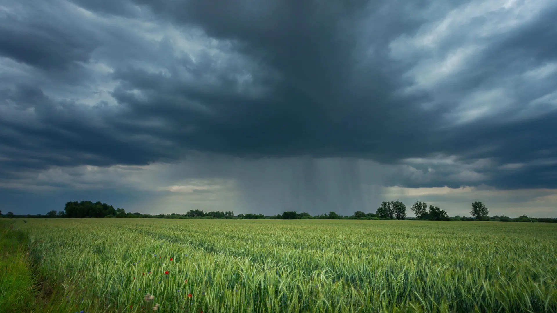 dark-rain-cloud-over-green-field - AgCanada