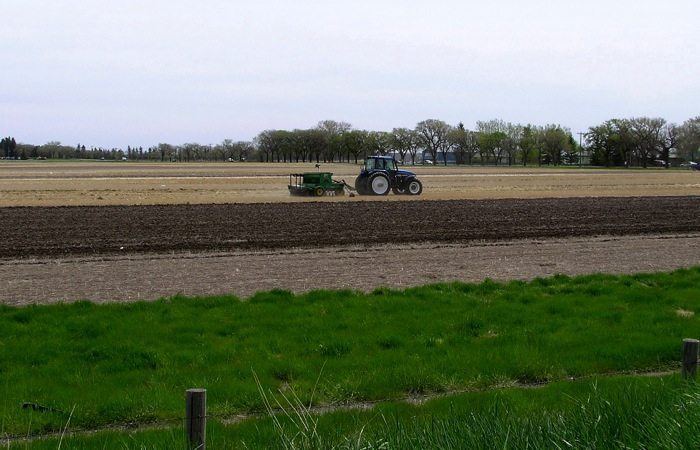 Crop Rotation In Field Crops