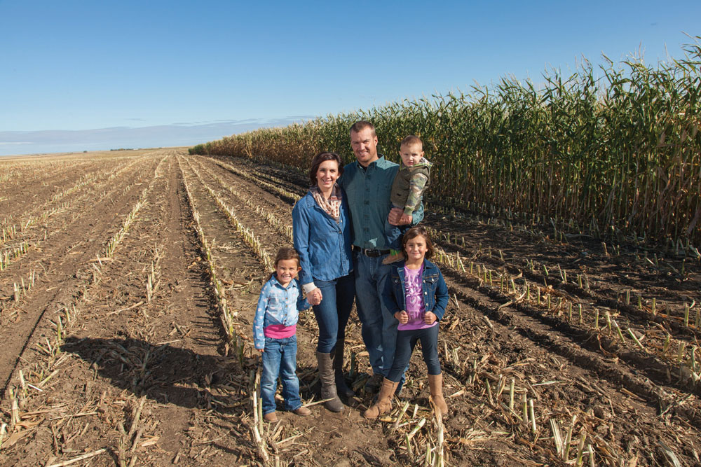 Corn slowly winning converts in Alberta - Alberta Farmer Express