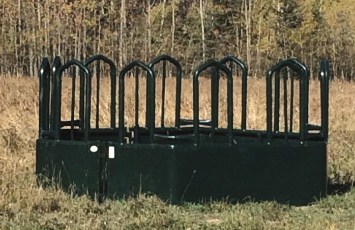 Feeding round hay bales to horses has risks