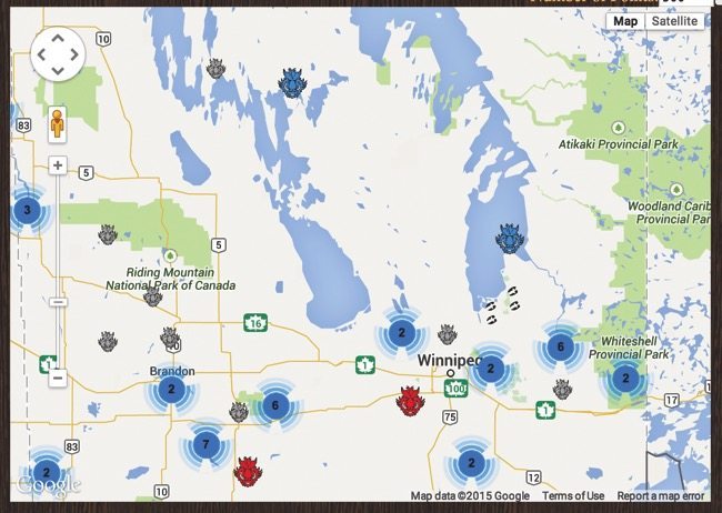 Wild boars on the increase in western Manitoba