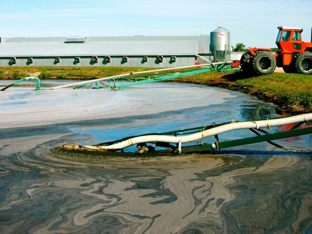 Shipping manure by pipeline considered feasible