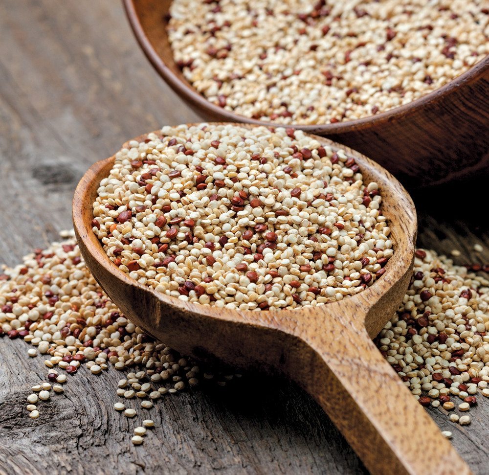 Northern Quinoa aiming for 100,000 acres