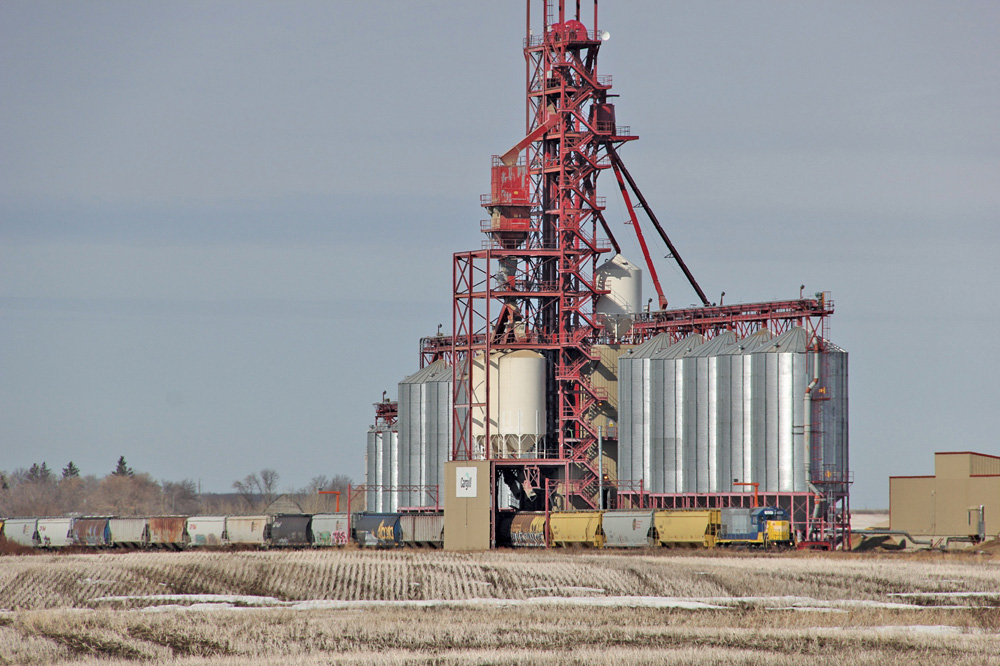 Measuring changes in the grain transportation system - Manitoba Co-operator