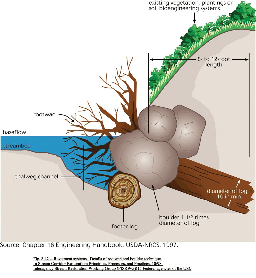 Project stabilizes creek bank, enhances fish habitat - Manitoba Co-operator