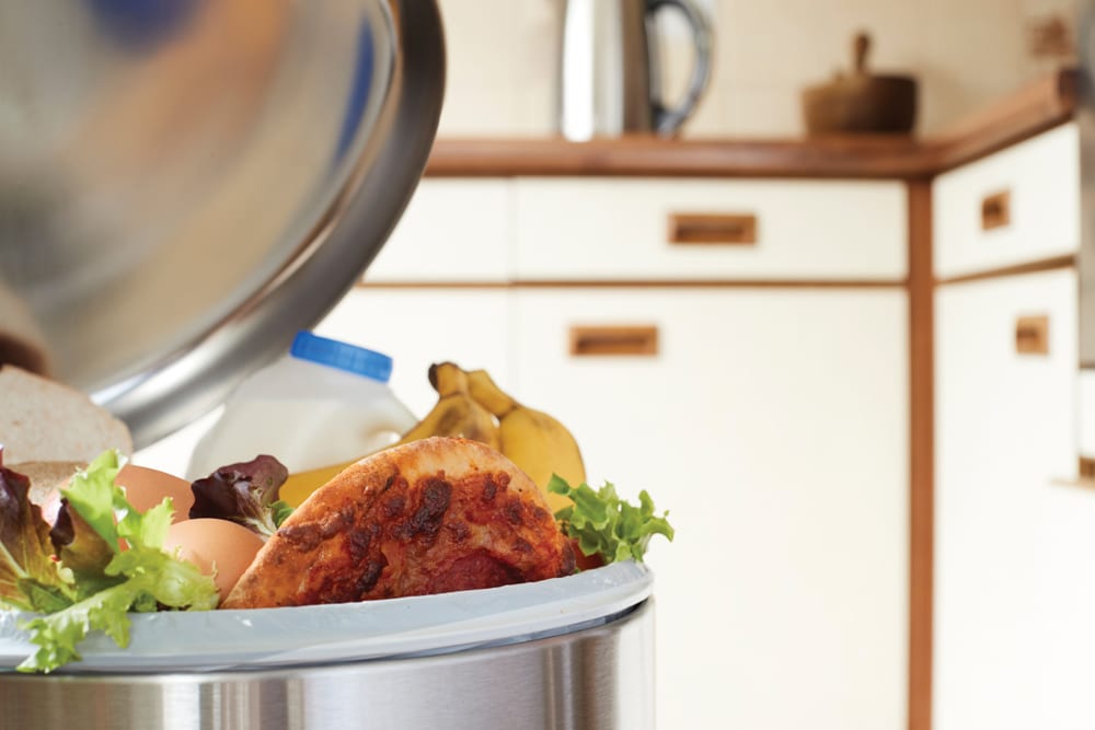 Food waste in Canada and our role at home - Manitoba Co-operator