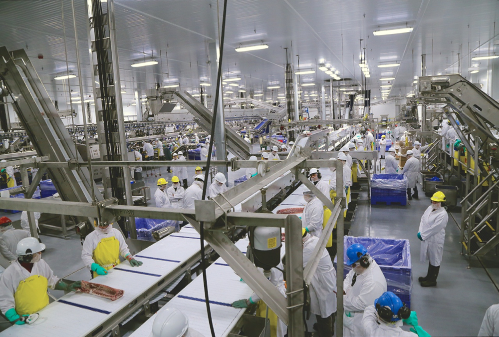 HyLife to hand over to Thai conglomerate - Manitoba Co-operator